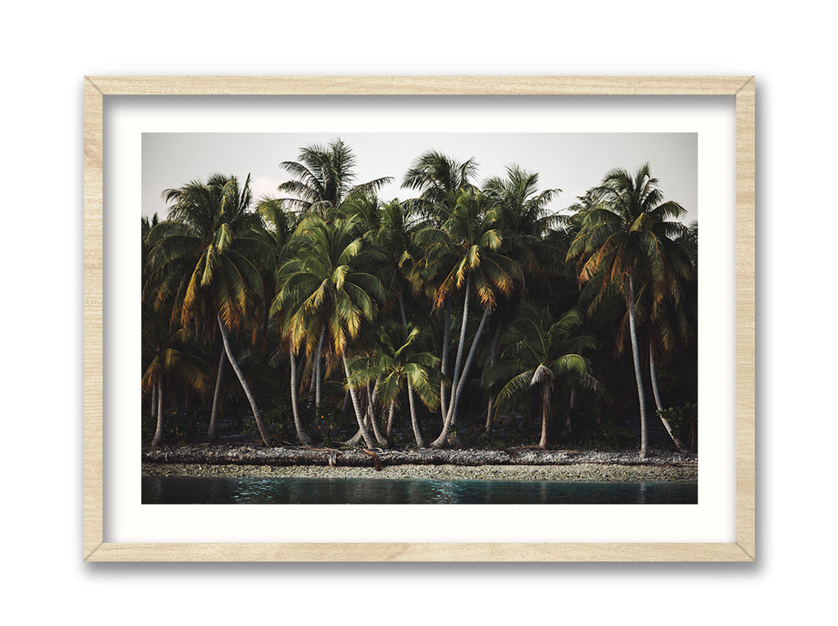 Off Grid – Driftward