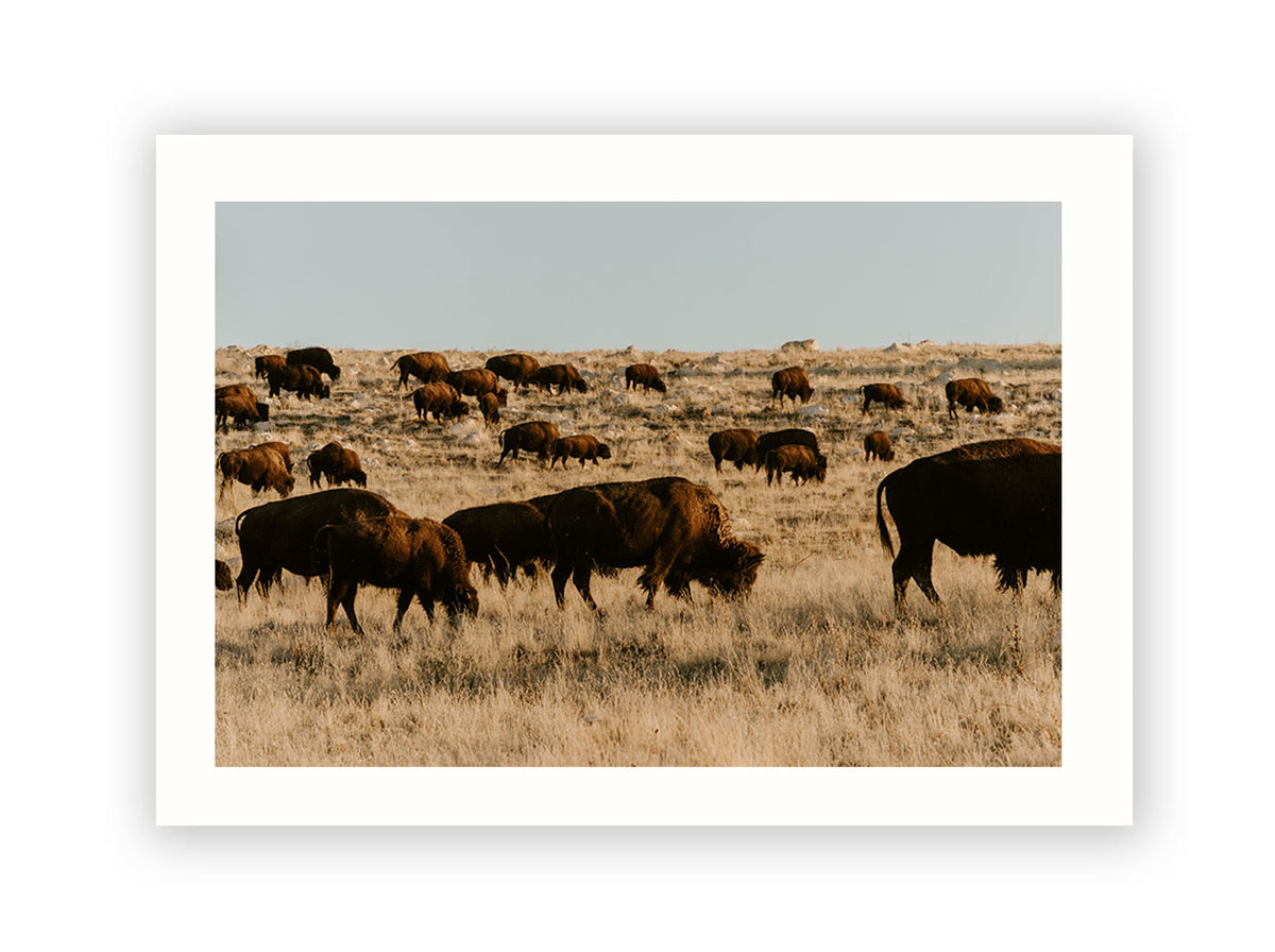 Together – Driftward