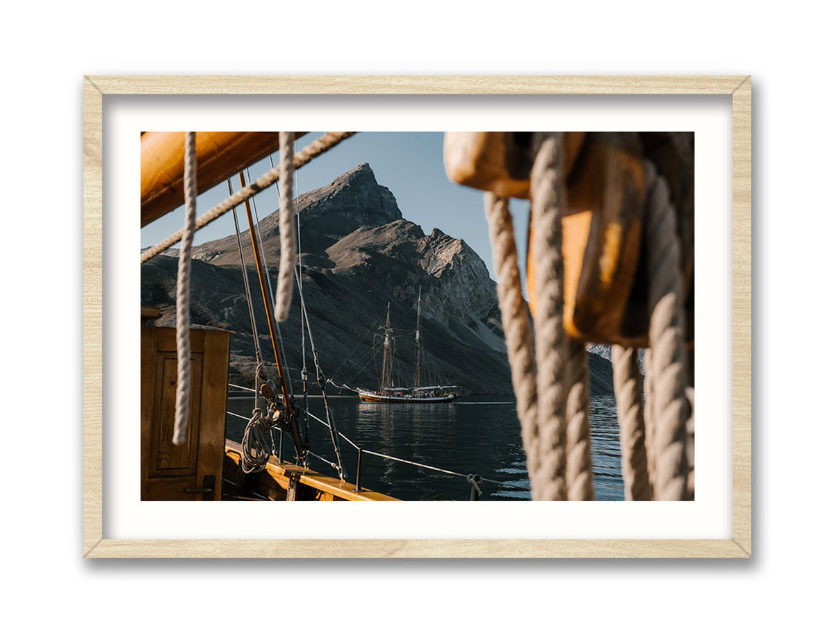 Timeless – Driftward