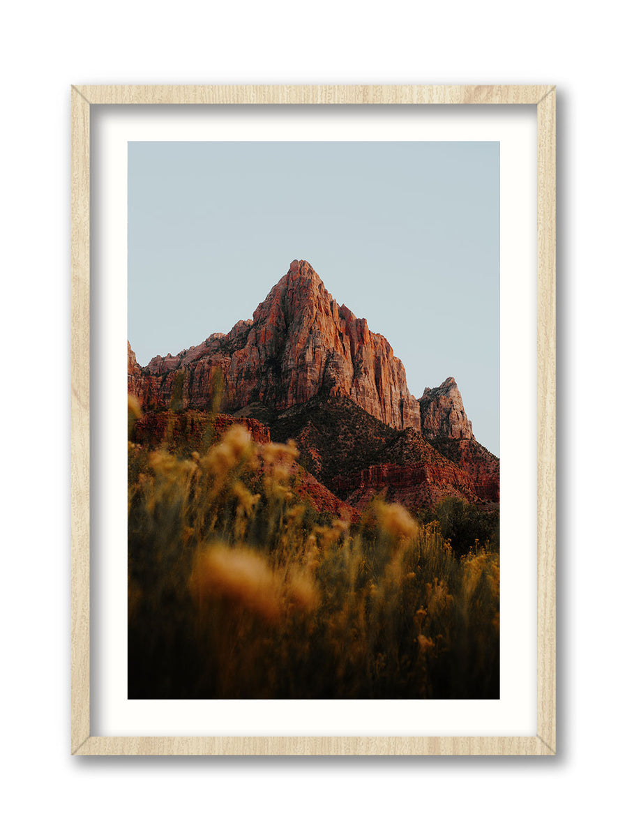 Zion National Park – Driftward