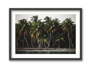 Paradise Picks – Driftward