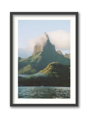 Paradise Picks – Driftward