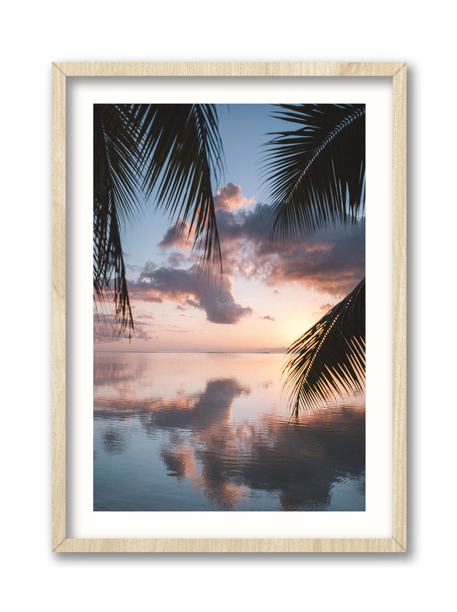 Moana Paradise – Driftward