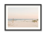 Paradise Picks – Driftward