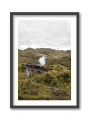 Paradise Picks – Driftward