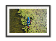 Taylor Stephens – Driftward