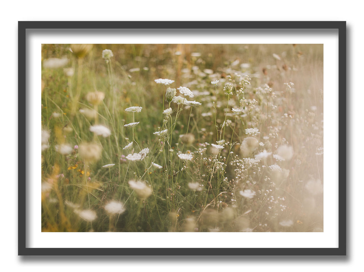 Southern Summer – Driftward