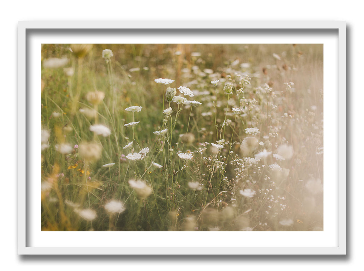 Southern Summer – Driftward