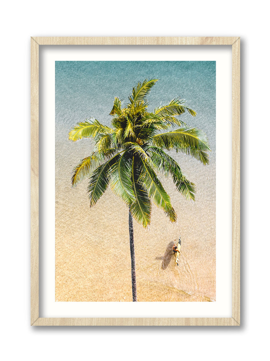 Sideways Palm Tree – Driftward